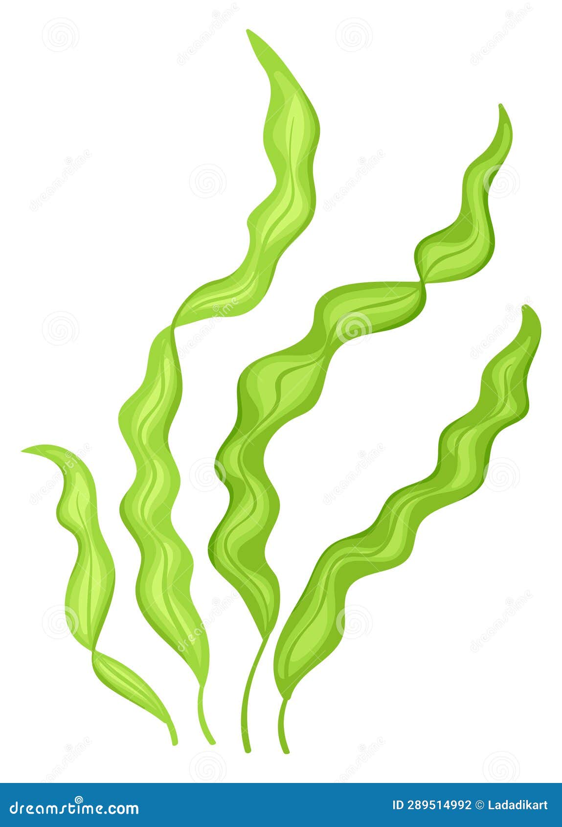Brown Algae Algae On White Background. Generative AI Royalty-Free Stock ... Brown Algae Algae On White Background. Generative AI Royalty-Free Stock ...