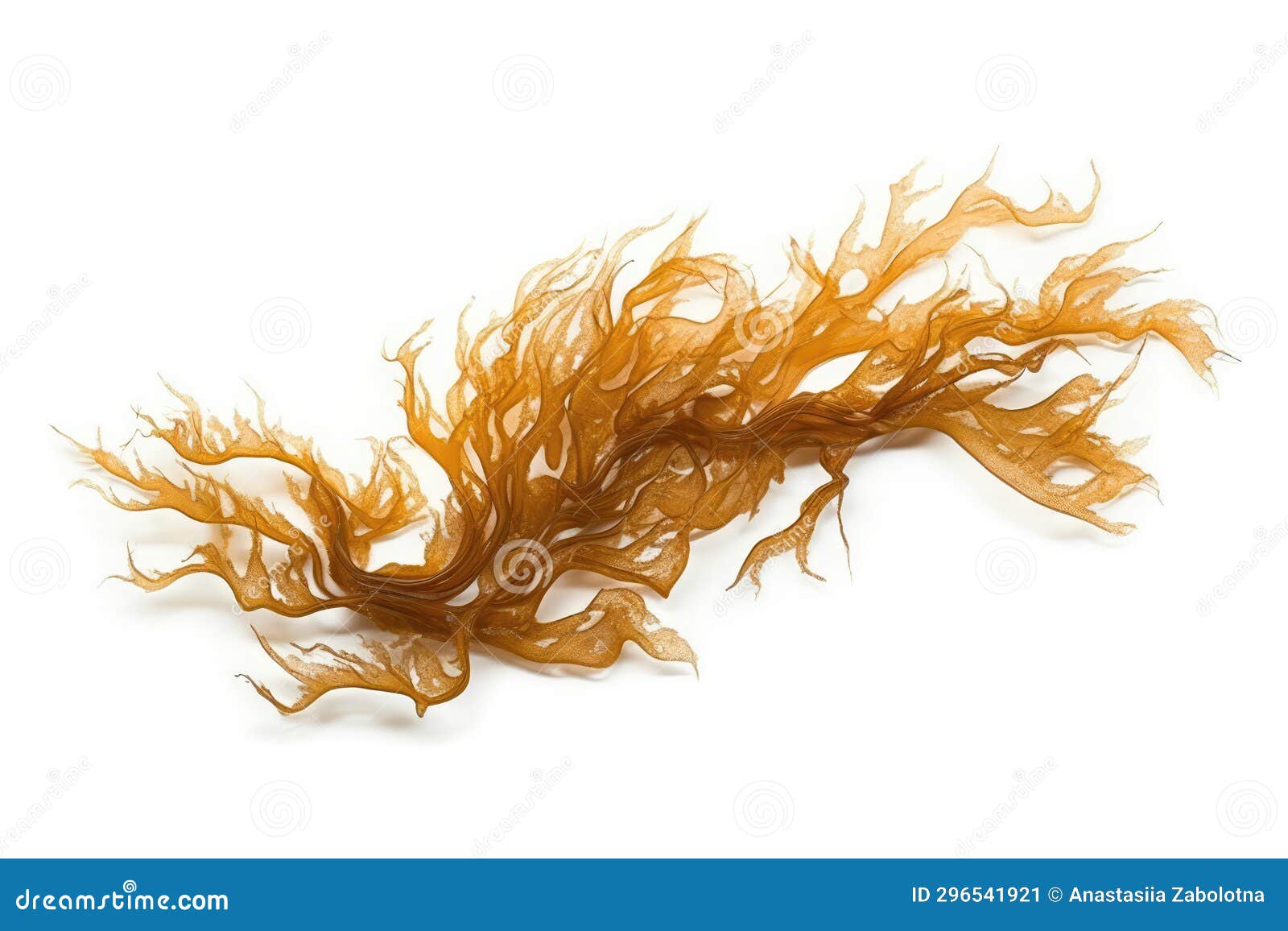 Brown Algae Algae on White Background. Generative AI Stock Illustration - Illustration of ...