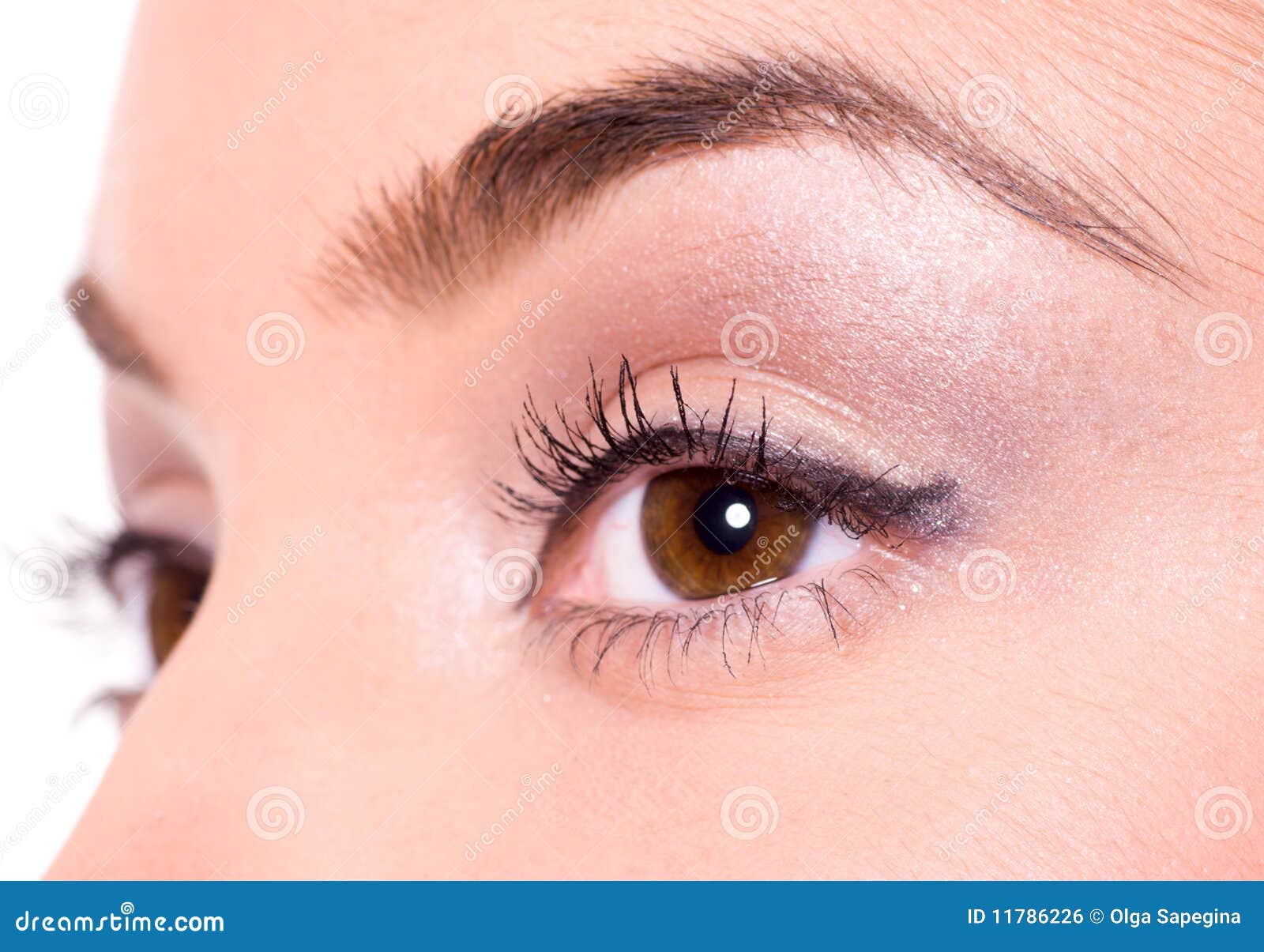 Brown-Augen stockfoto. Bild von schön, entzückend, makro - 11786226