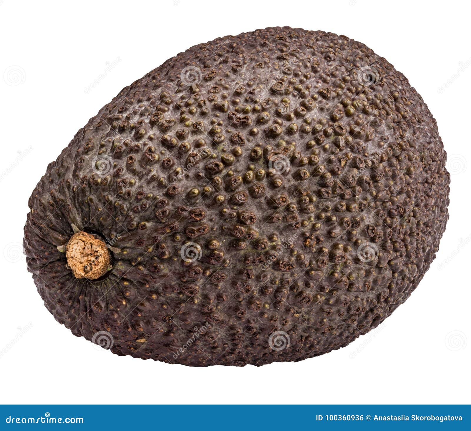 Brown Avocado Isolated On White Background Stock Photo - Image of ...