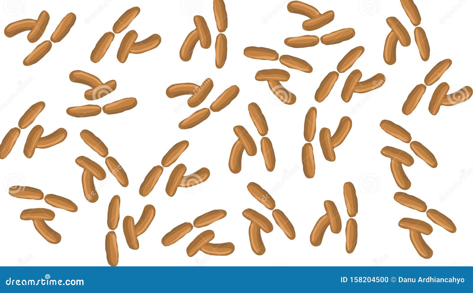 Brown Bacillus Bacteria with Copy Space Stock Illustration ...