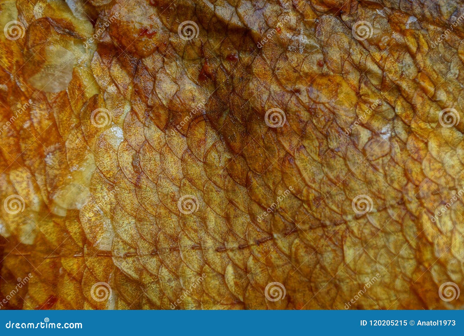 Brown Texture of Fine Scales of Smoked Fish Stock Image - Image of ...