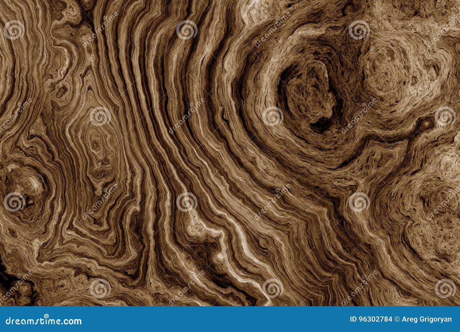Brown Background With Tree Root Pattern Stock Photo | CartoonDealer.com ...
