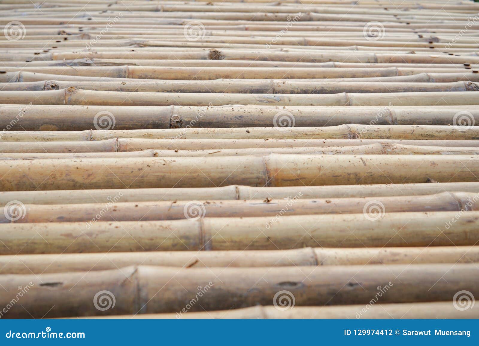 Brown bamboo stick pattern stock photo. Image of bunch - 129974412