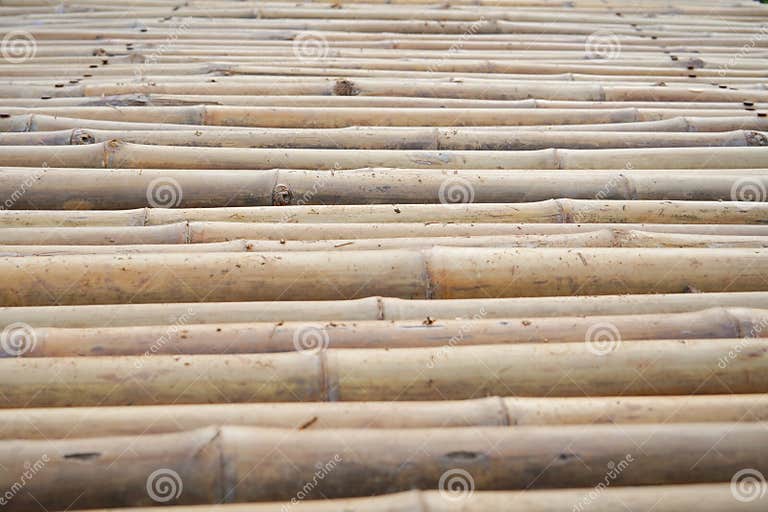 Brown bamboo stick pattern stock photo. Image of bunch - 129974412