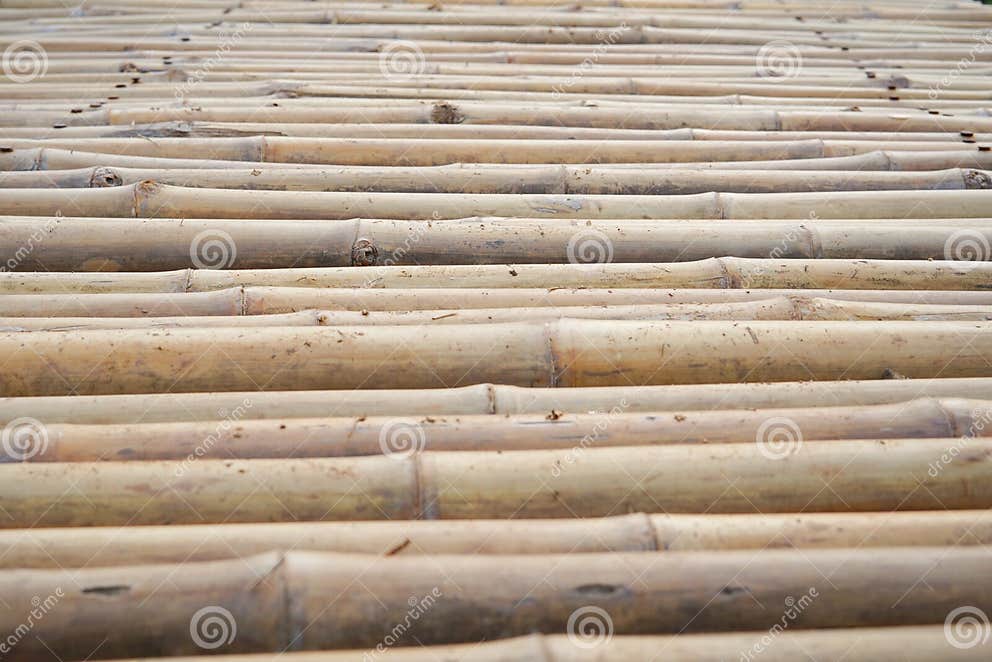 Brown bamboo stick pattern stock photo. Image of bunch - 129974412