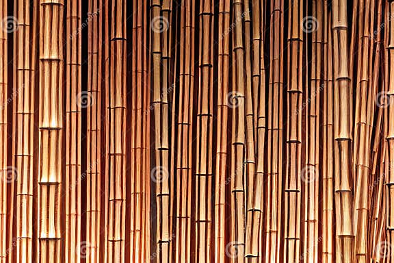 Brown Bamboo Stick Pattern Background Stock Illustration - Illustration ...