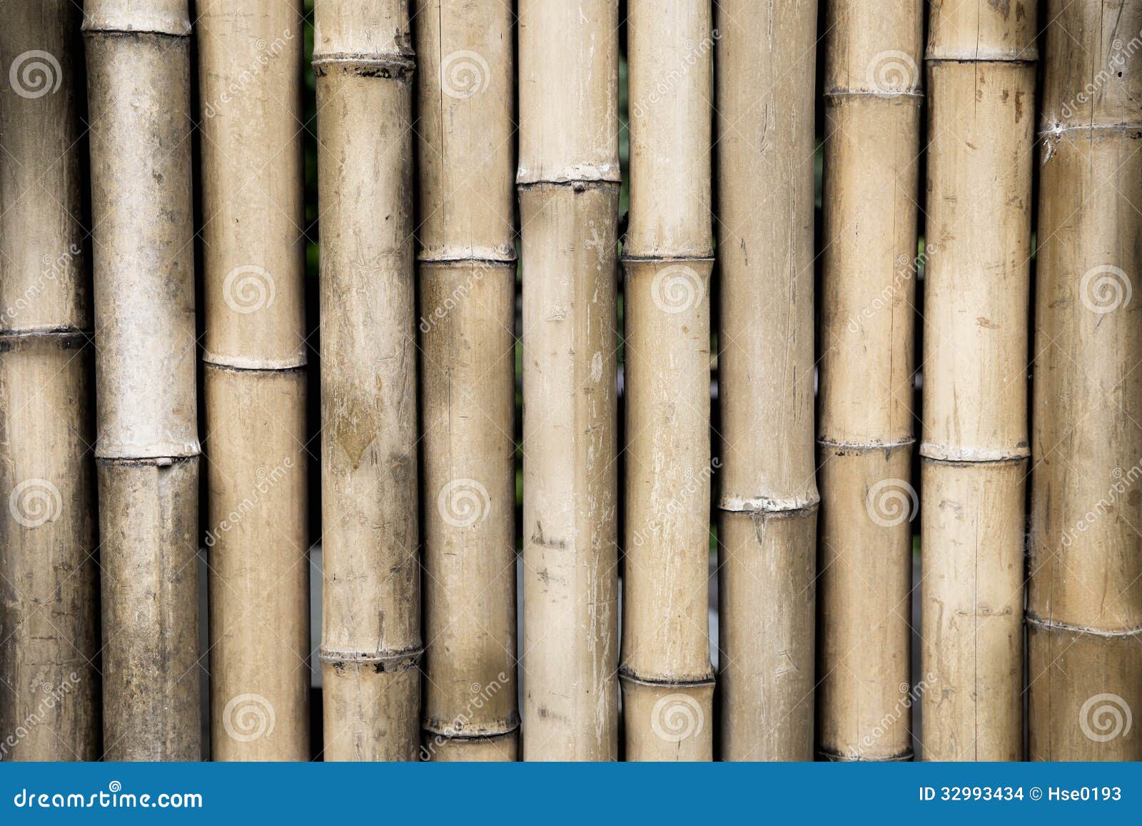 1,489 Tone Bamboo Stock Photos - Free & Royalty-Free Stock Photos from ...