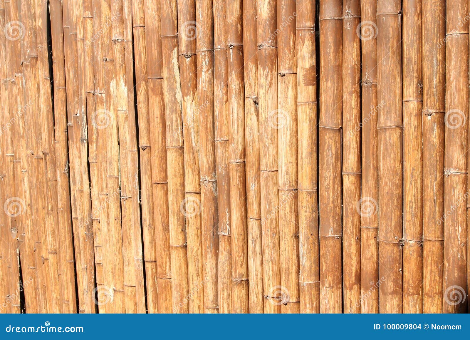 Bamboo wall stock photo. Image of abstract, material - 100009804