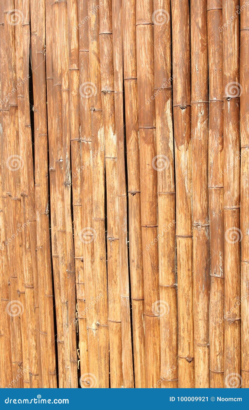 Bamboo wall stock image. Image of thai, garden, tropical - 100009921