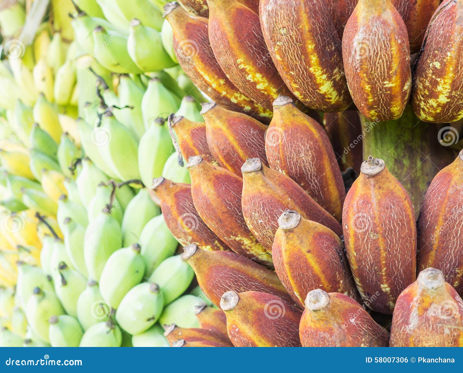 Brown bananas stock photo. Image of natural, ingredient - 58007306