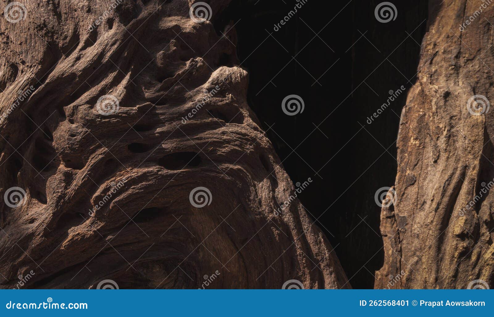 Brown Bark Background. Light and Shadow on Surface of the Old Bark Worn ...