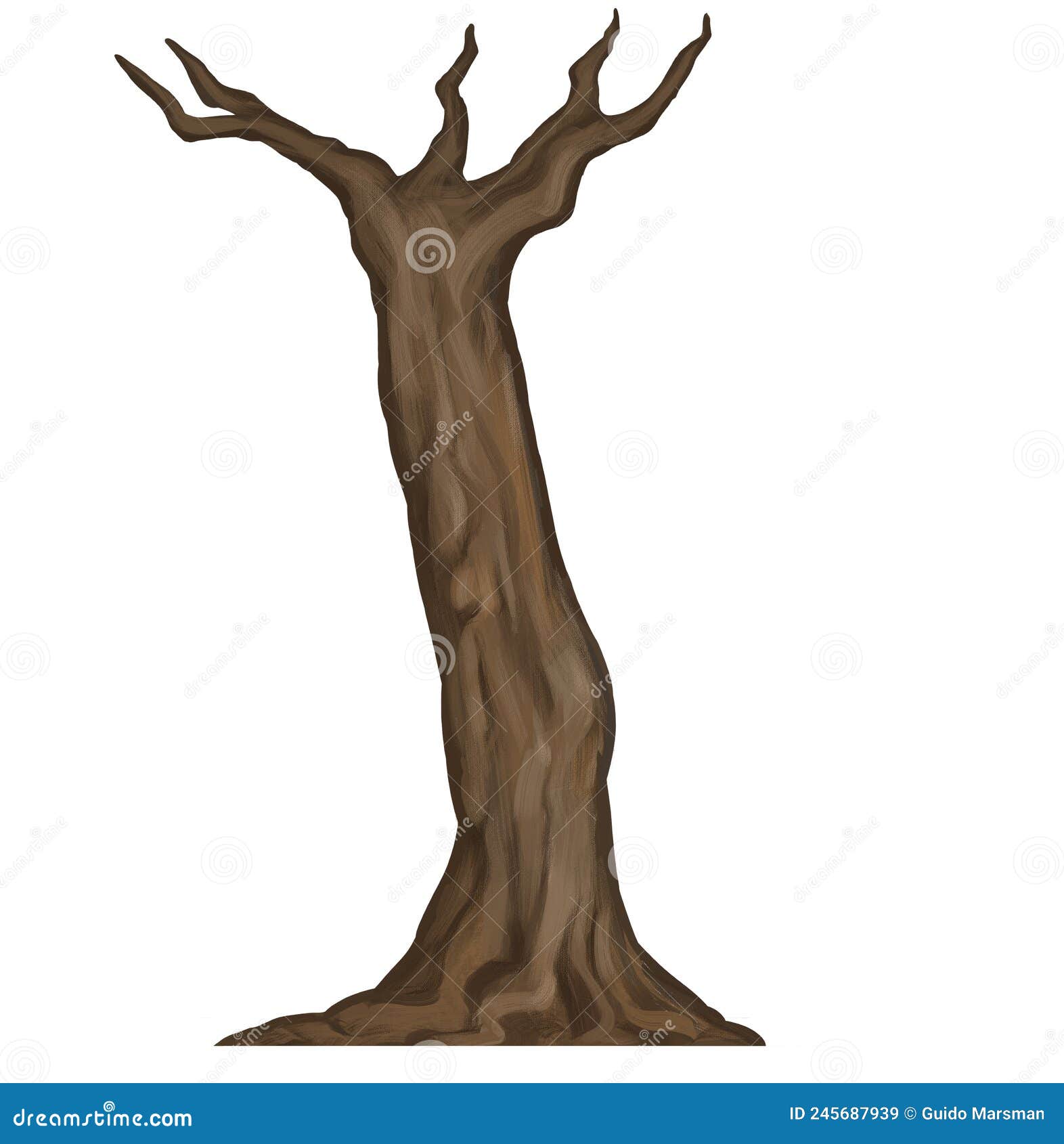 Brown Bark Barren Tree Trunk Hand Drawn Illustration Isolated on White ...