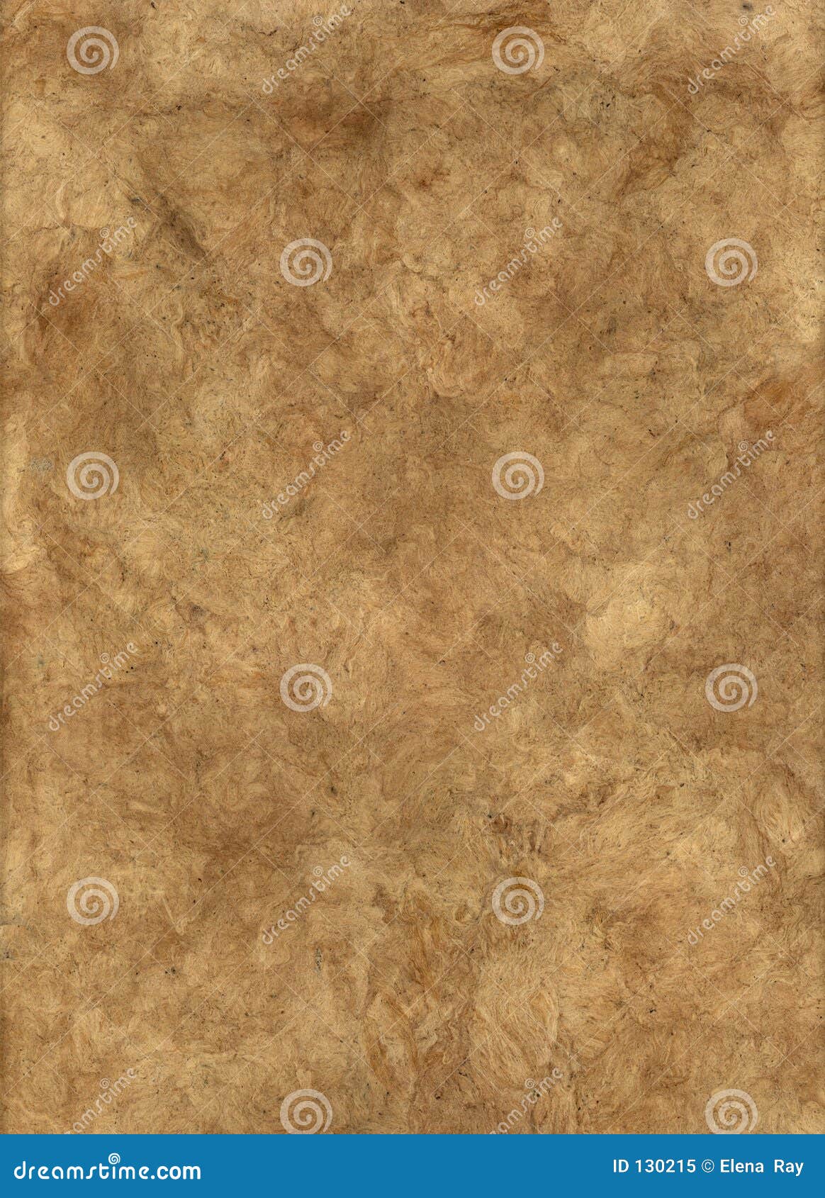Brown Bark Paper. stock image. Image of bark, nature, wood - 130215