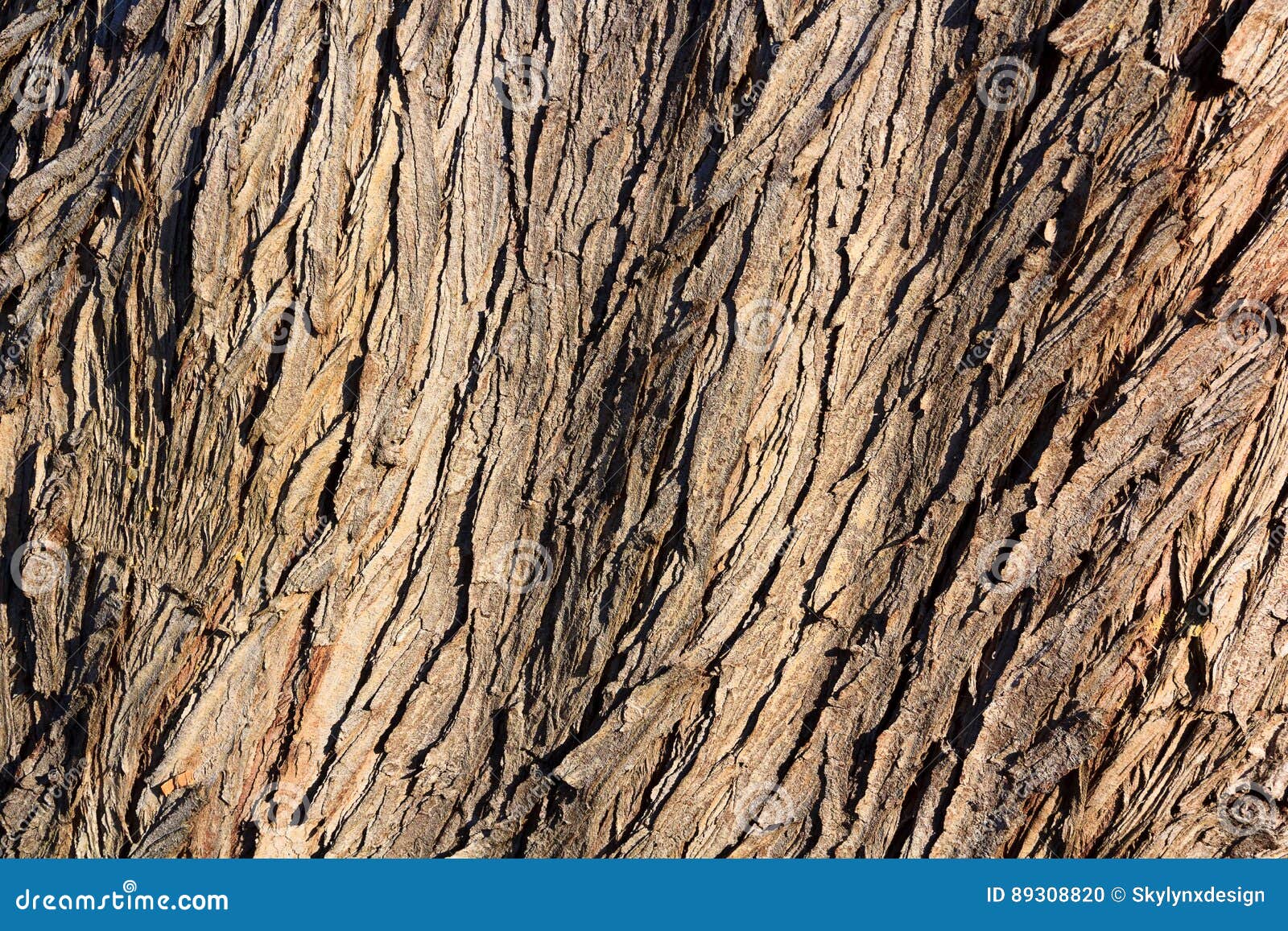 Brown bark texture stock photo. Image of gray, abstract - 89308820