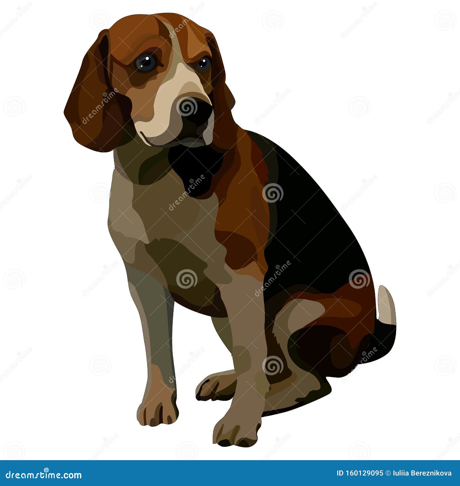Brown beagle stock vector. Illustration of mammal, flat - 160129095