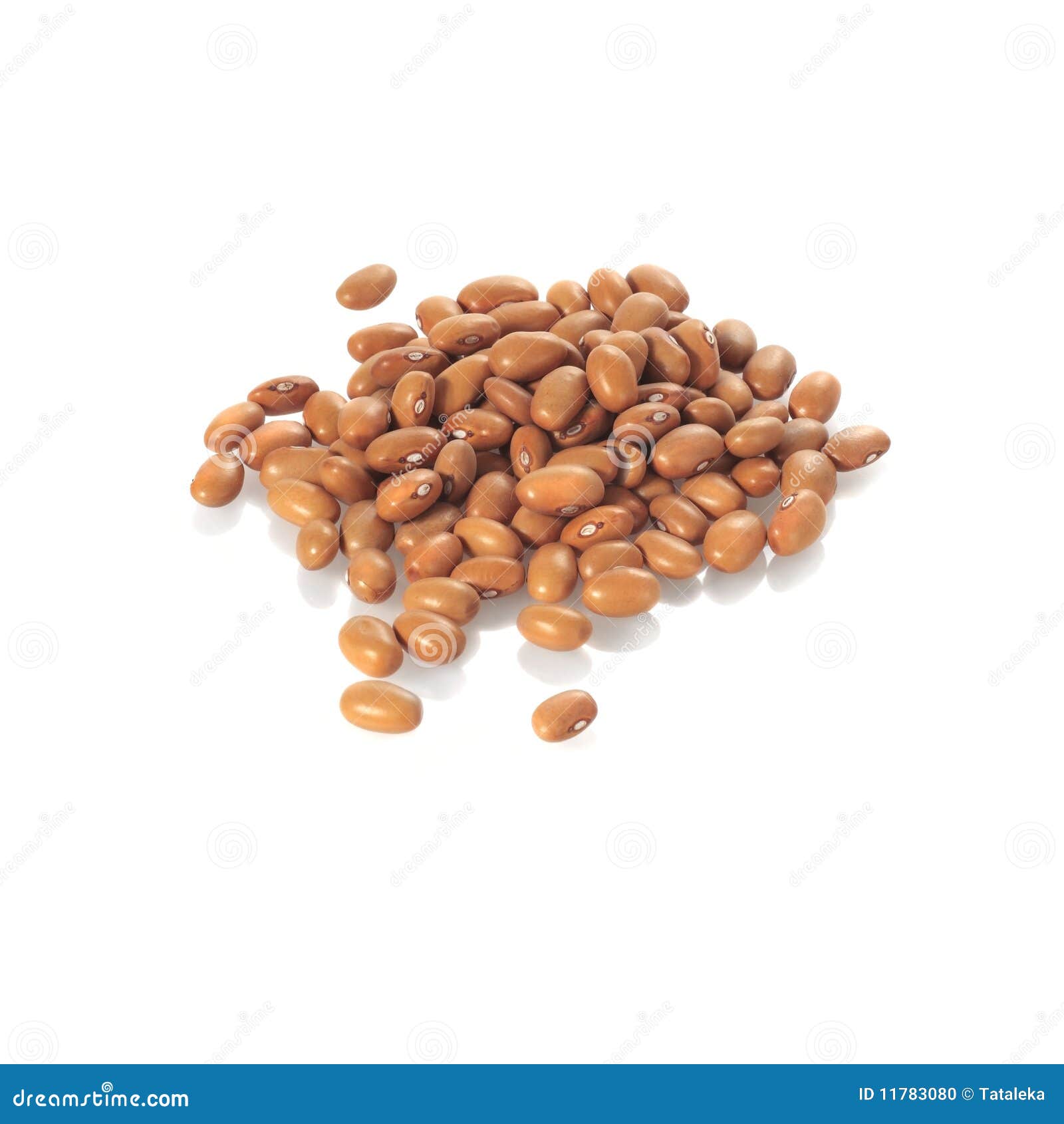 Brown Beans stock photo. Image of white, bunch, life - 11783080