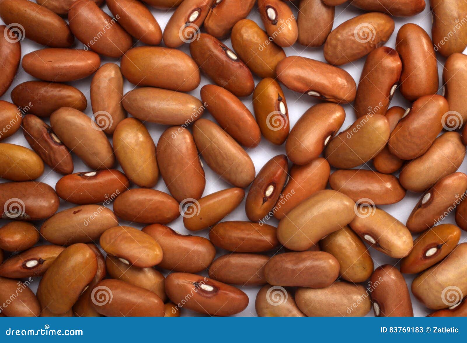 Brown beans stock image. Image of health, common, grain - 83769183