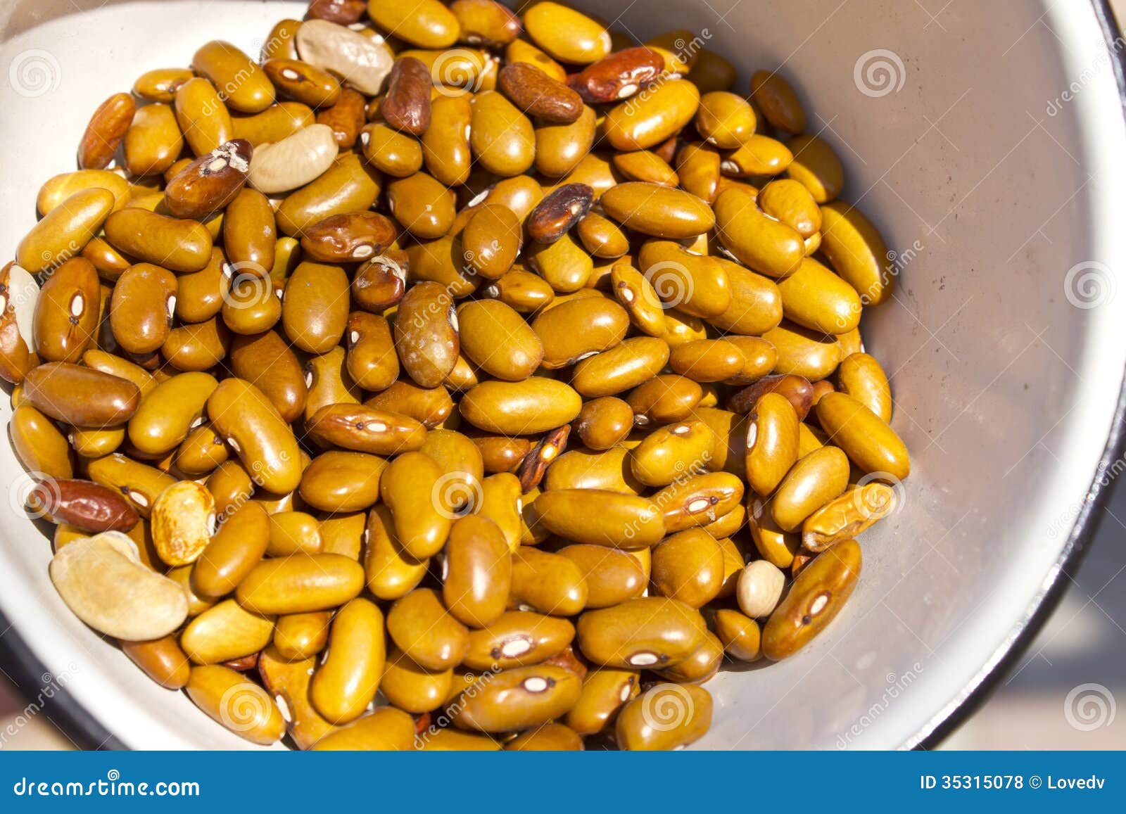 Brown Beans stock photo. Image of plant, close, beans - 35315078