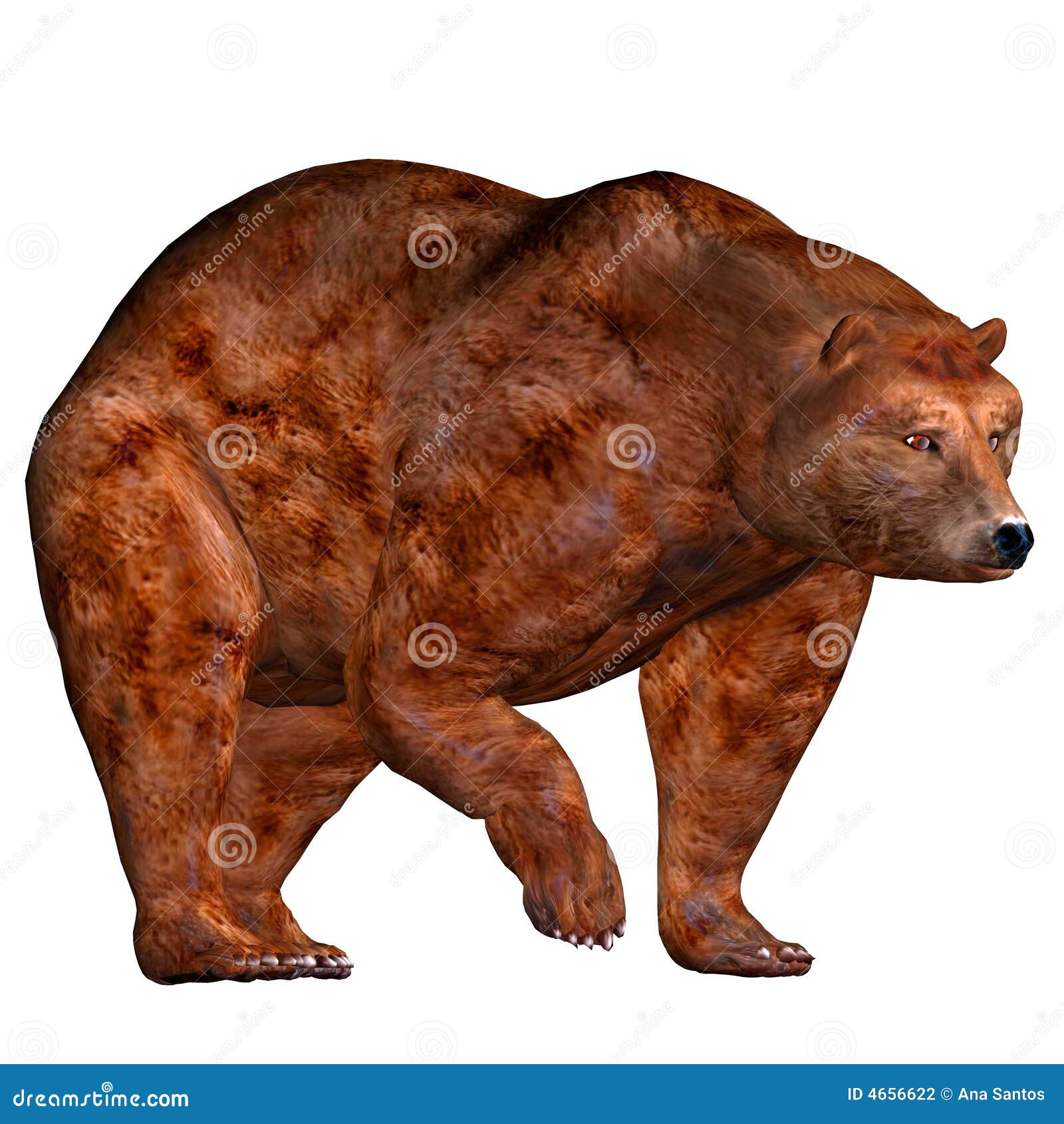 Ursoidea Stock Illustrations – 2 Ursoidea Stock Illustrations, Vectors & Clipart - Dreamstime