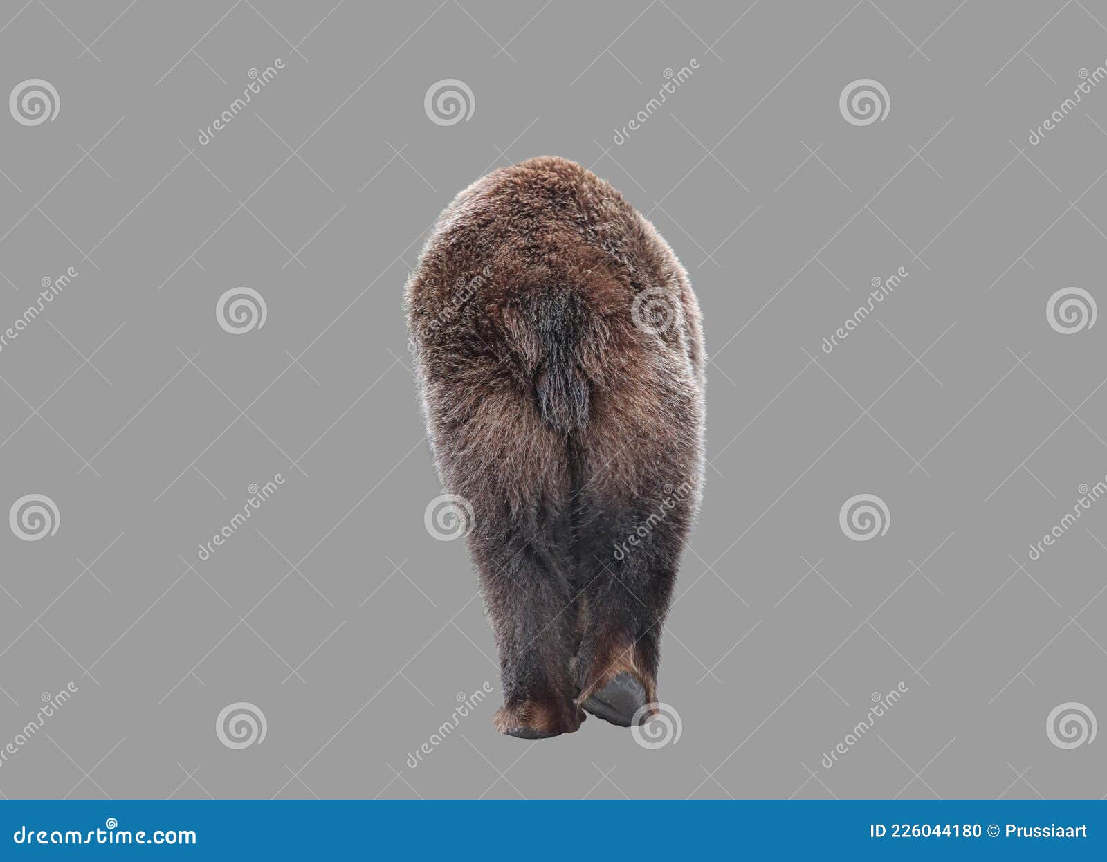 Royalty Free Images, Cartoons, Illustrations And Photos Designed By ...