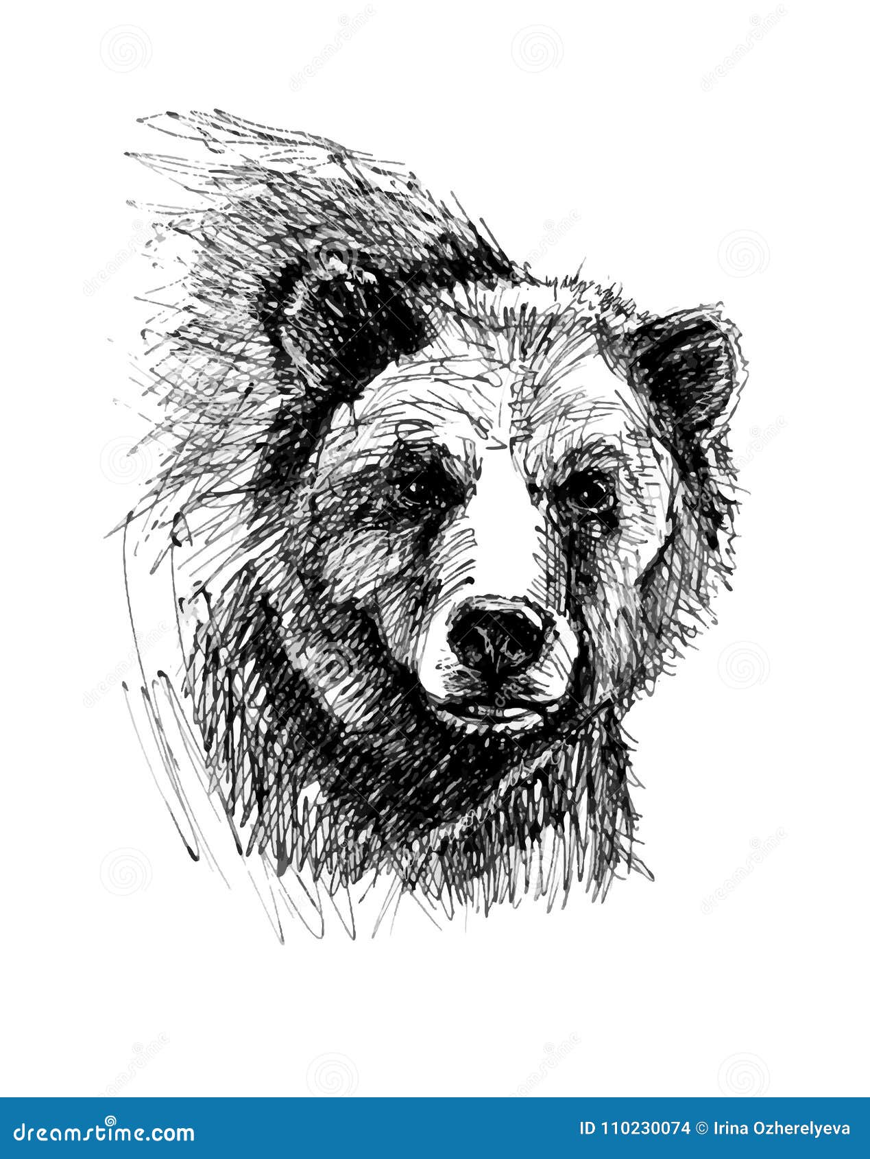 Bear head stock illustration. Illustration of animal - 110230074
