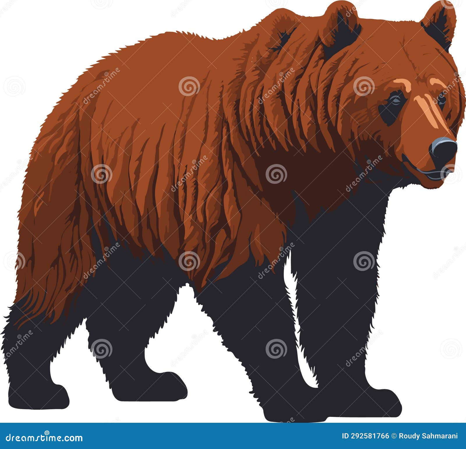 Brown Bear Illustration Vector Detailed Stock Illustration - Illustration of woodland, realistic ...