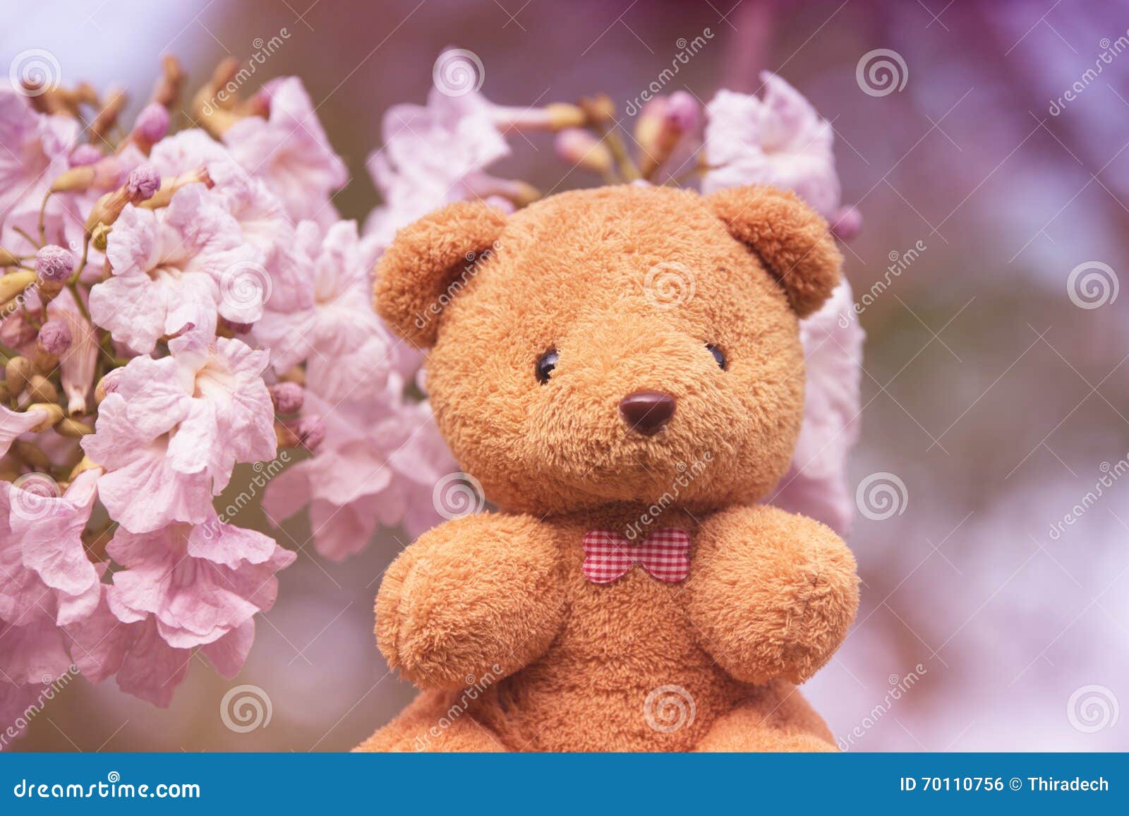 Brown Bear Texture Background Stock Photo - Image of little, teddy ...
