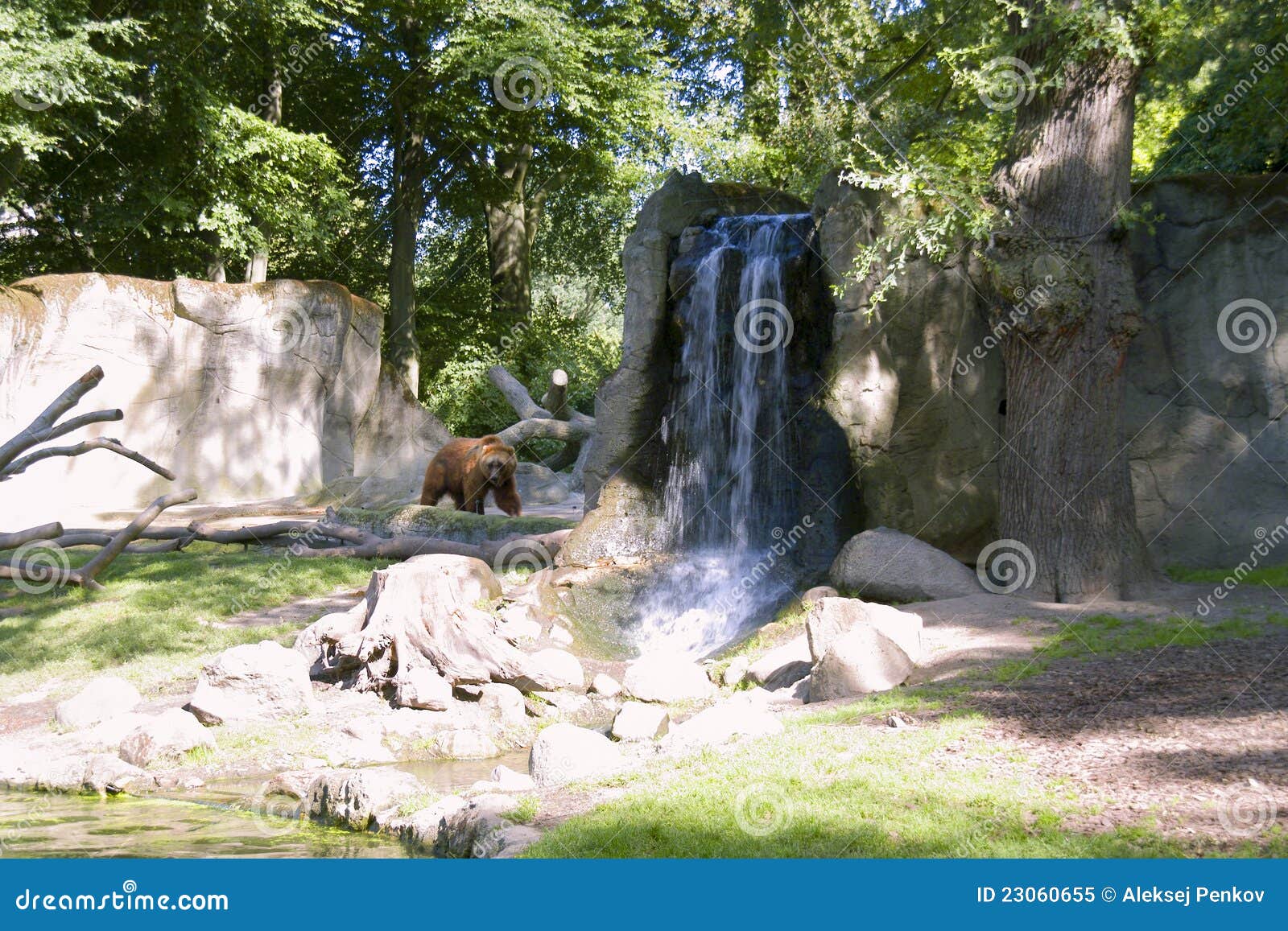 Brown bear at waterfalls stock image. Image of environment - 23060655