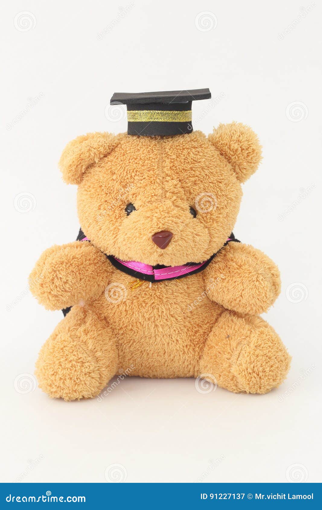 Brown Bear Wearing a Graduation Cap. Stock Image - Image of diploma ...