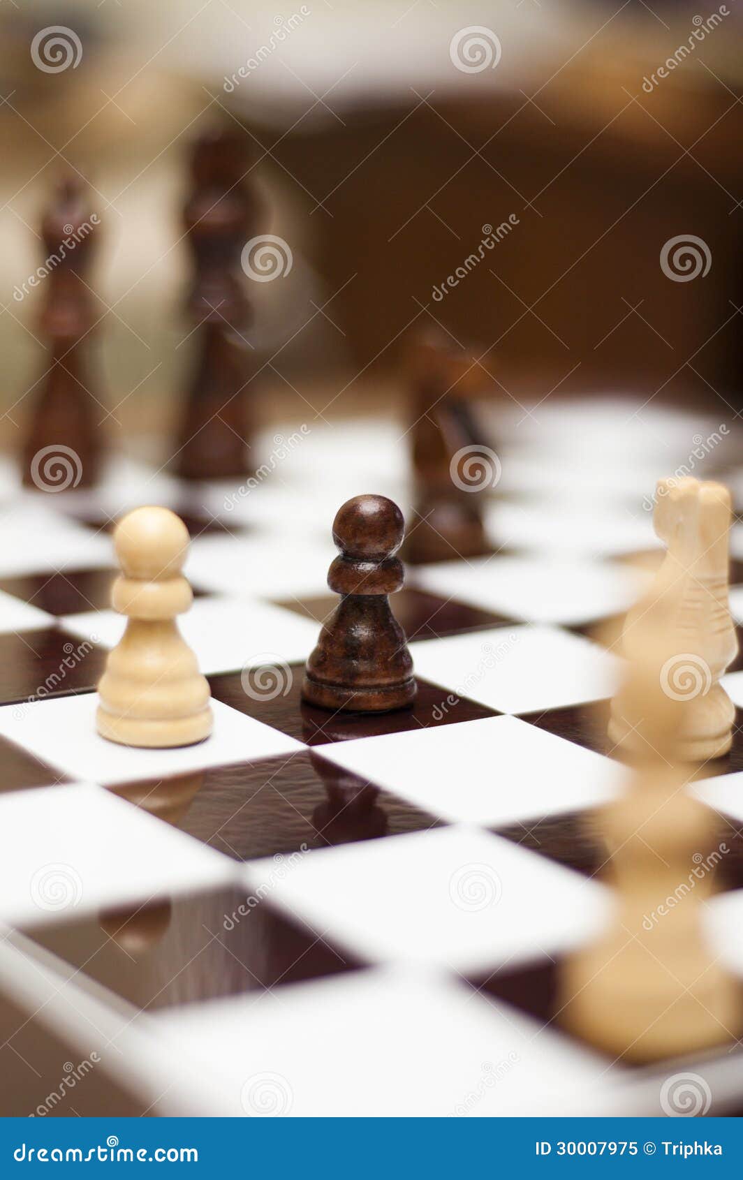 Pawn on the chessboard stock image. Image of domination - 30007975