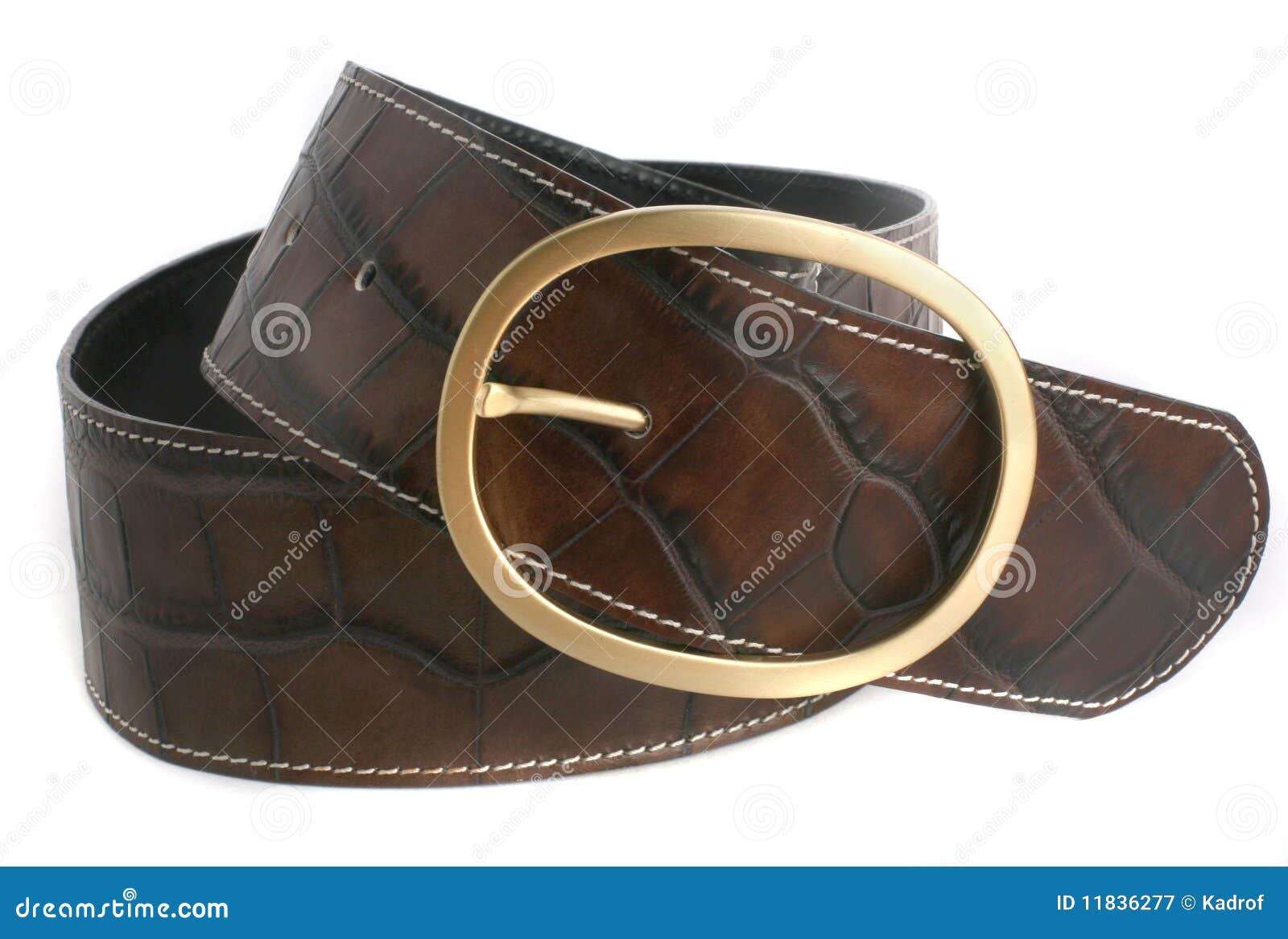 Brown belt stock image. Image of isolated, women, couture - 11836277