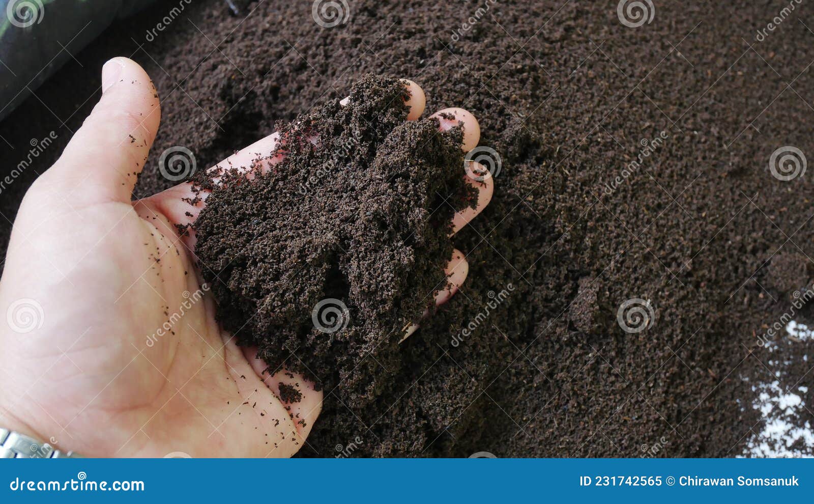 Bio Fertilizer Earthworm Manure for Plants Stock Image - Image of ...