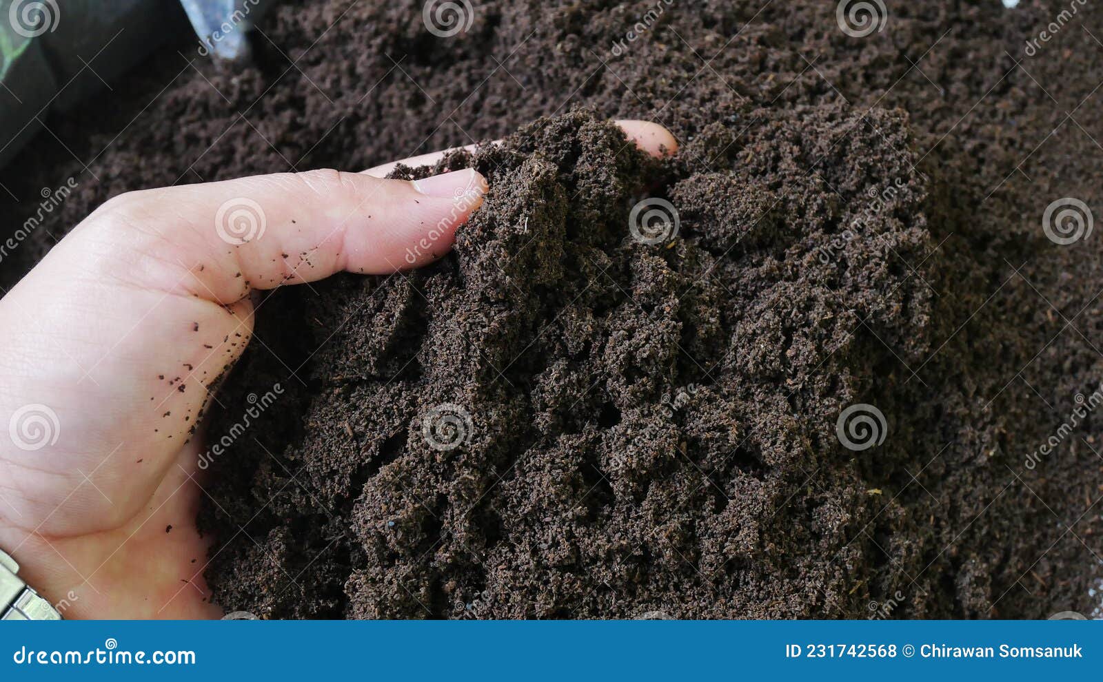 Bio Fertilizer Earthworm Manure for Plants Stock Photo - Image of ...