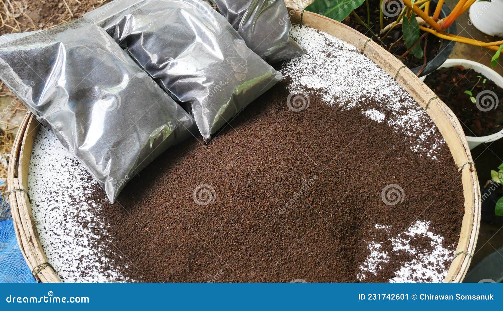 Bio Fertilizer Earthworm Manure for Plants Stock Image - Image of ...