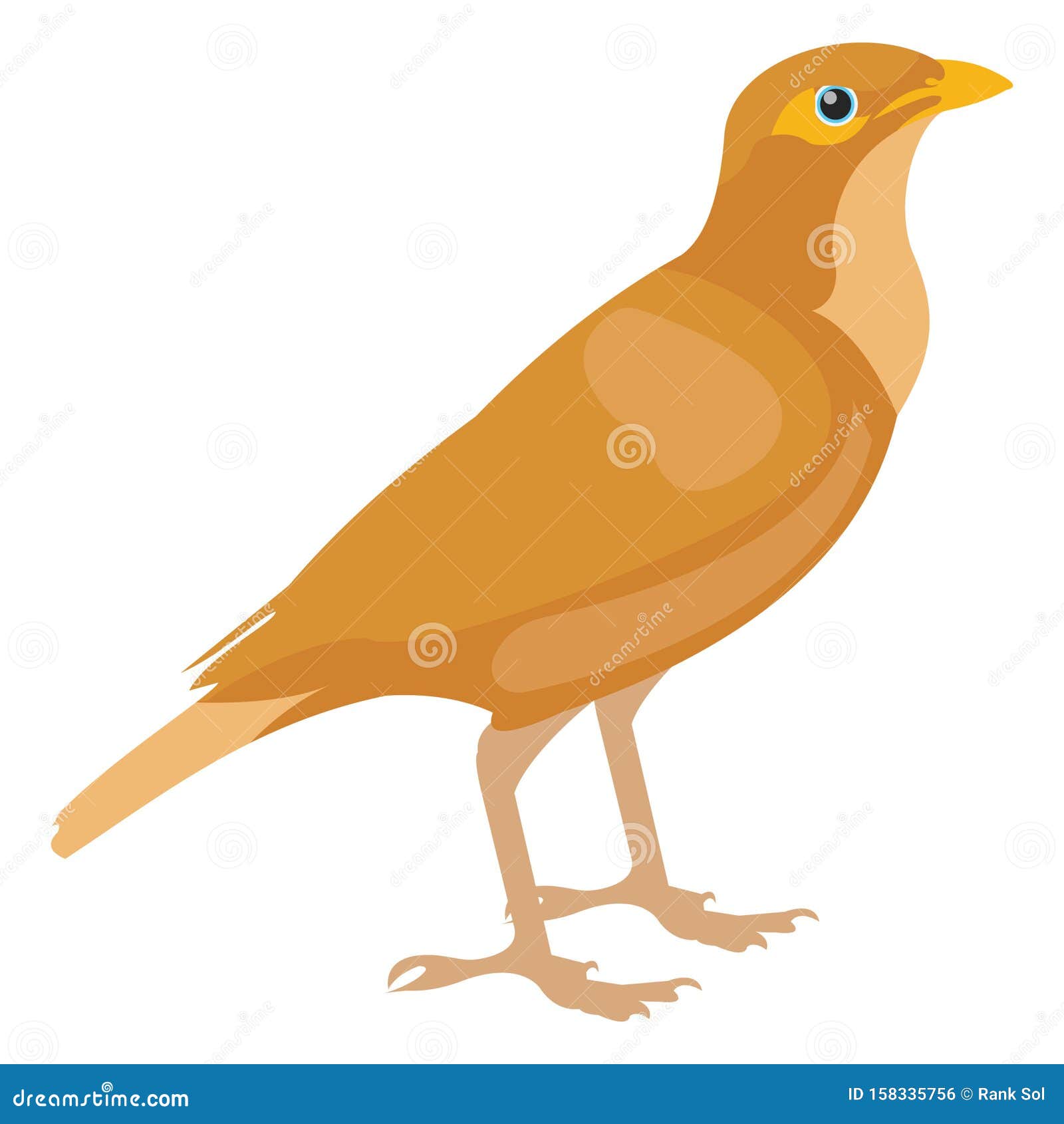 Brown Bird, Common Myna Vector Icon Stock Vector - Illustration of bird ...