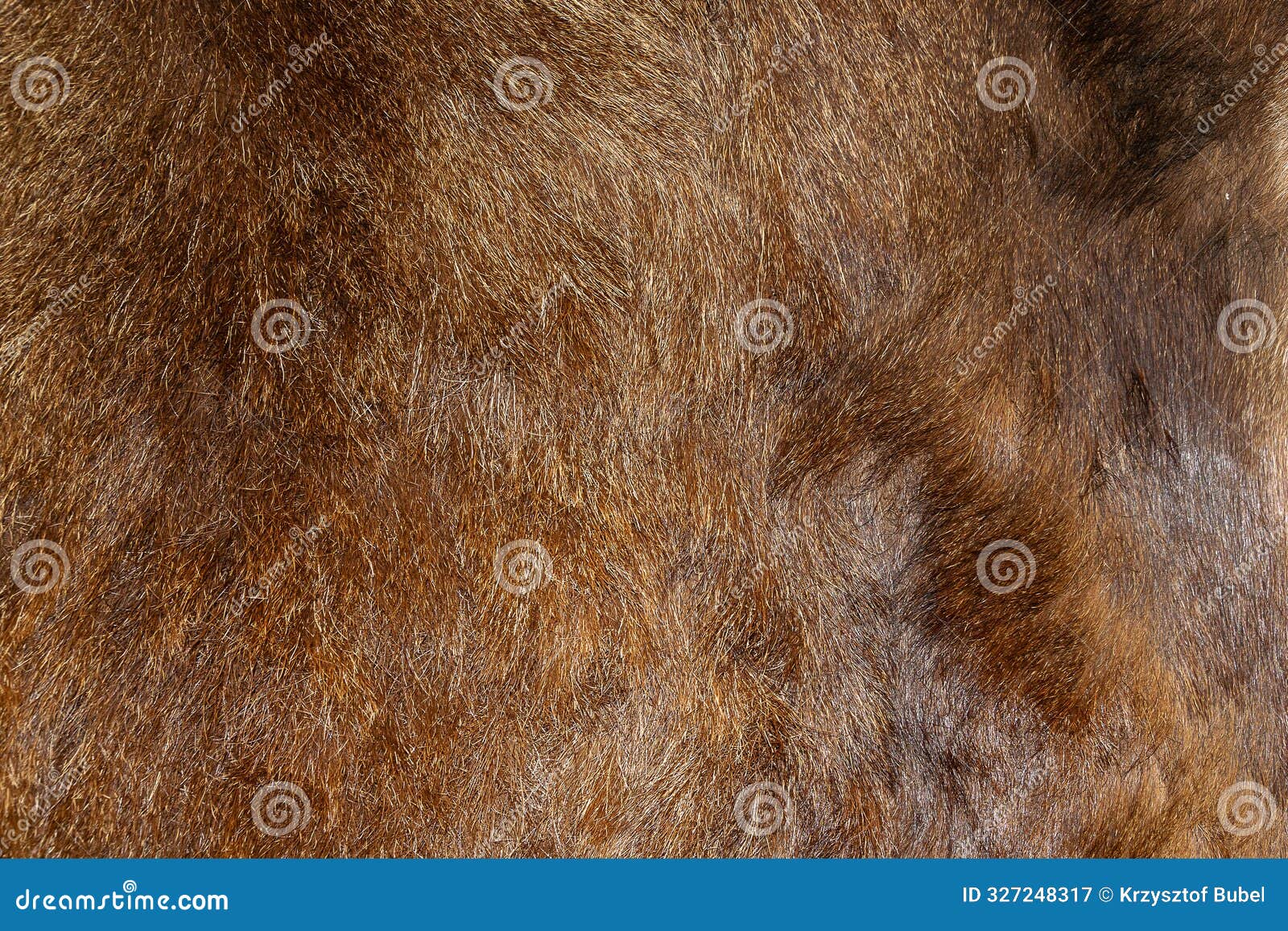 Brown Boar Skin.background or Texture Stock Image - Image of brown ...