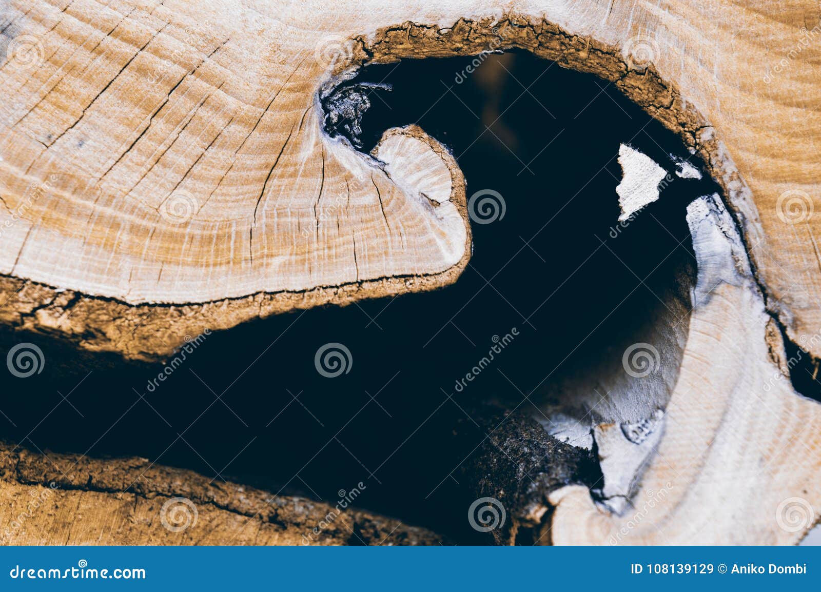 Brown bole for background stock image. Image of trunk - 108139129