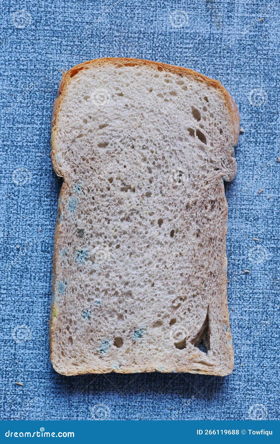 Brown Bread with Mildew. Spoiled Products Stock Photo - Image of dirty ...