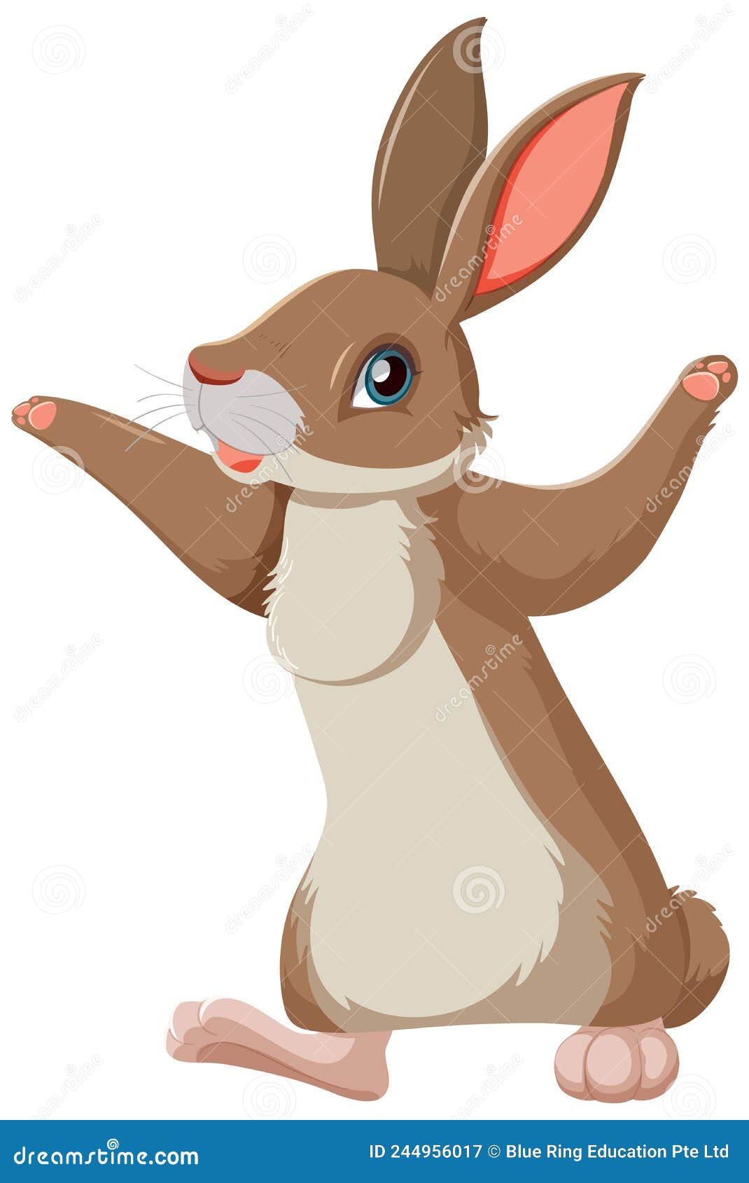 Brown bunny standing alone stock vector. Illustration of hare - 244956017