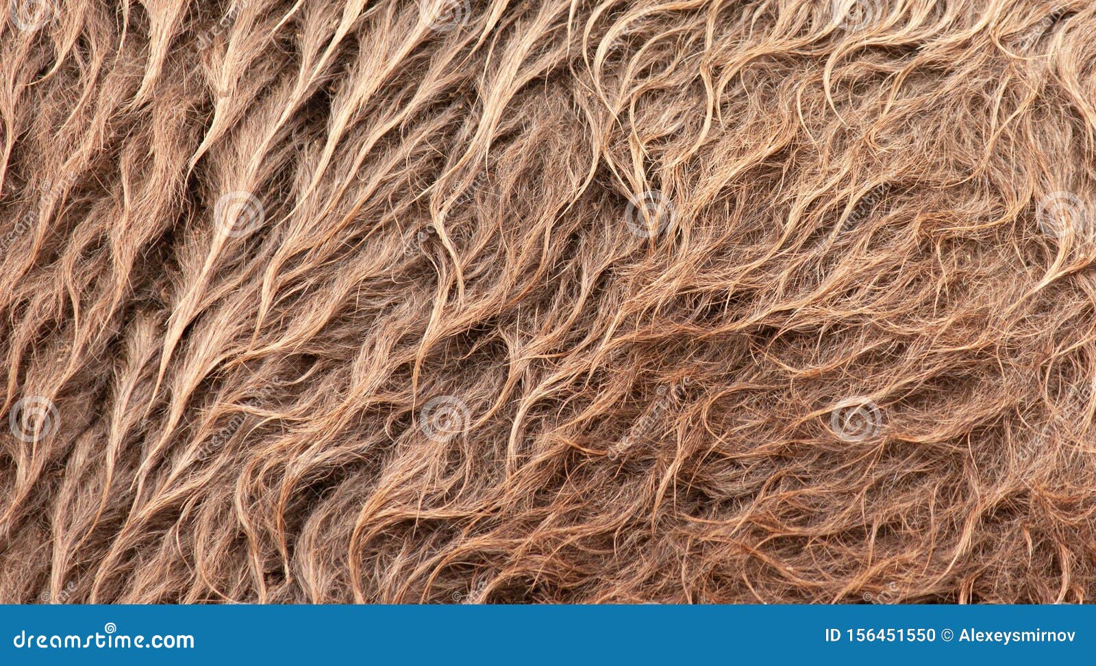 Brown Camel Wool Textured Background Stock Photo - Image of pattern ...