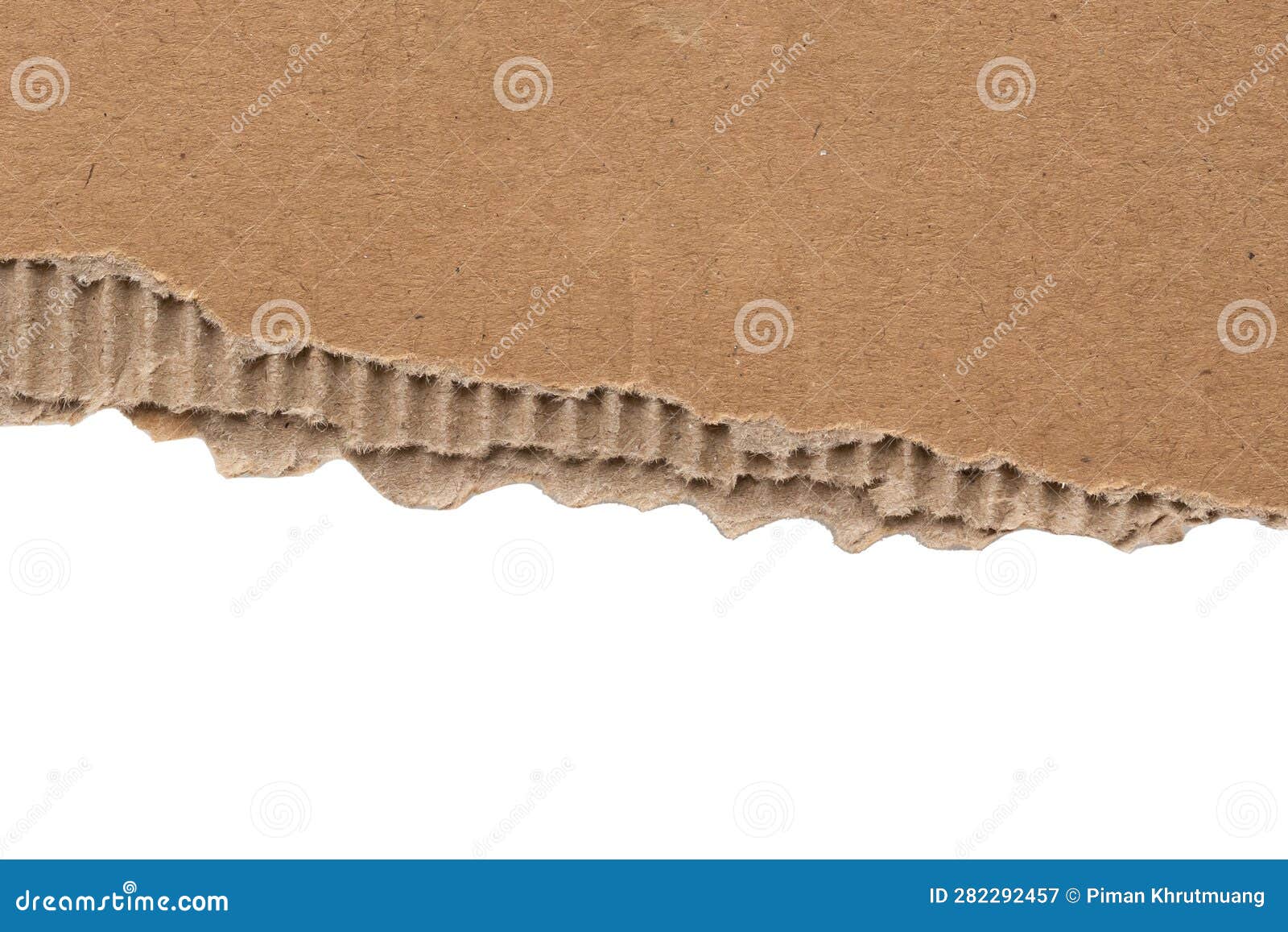 Brown Cardboard Ripped Paper Torn Edges Strips Isolated on White ...