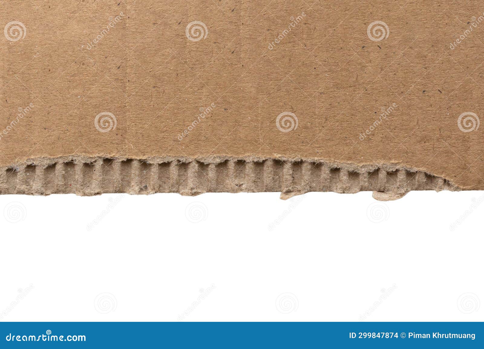 Cardboard Ripped Paper Torn Edges Strips Isolated on White Background ...