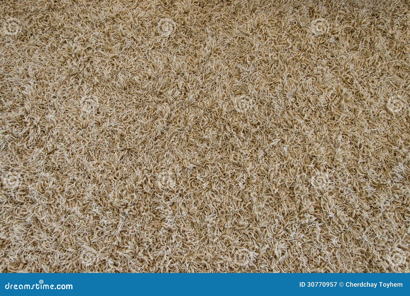 Long Pile Carpet Texture Royalty-Free Stock Photo | CartoonDealer.com ...