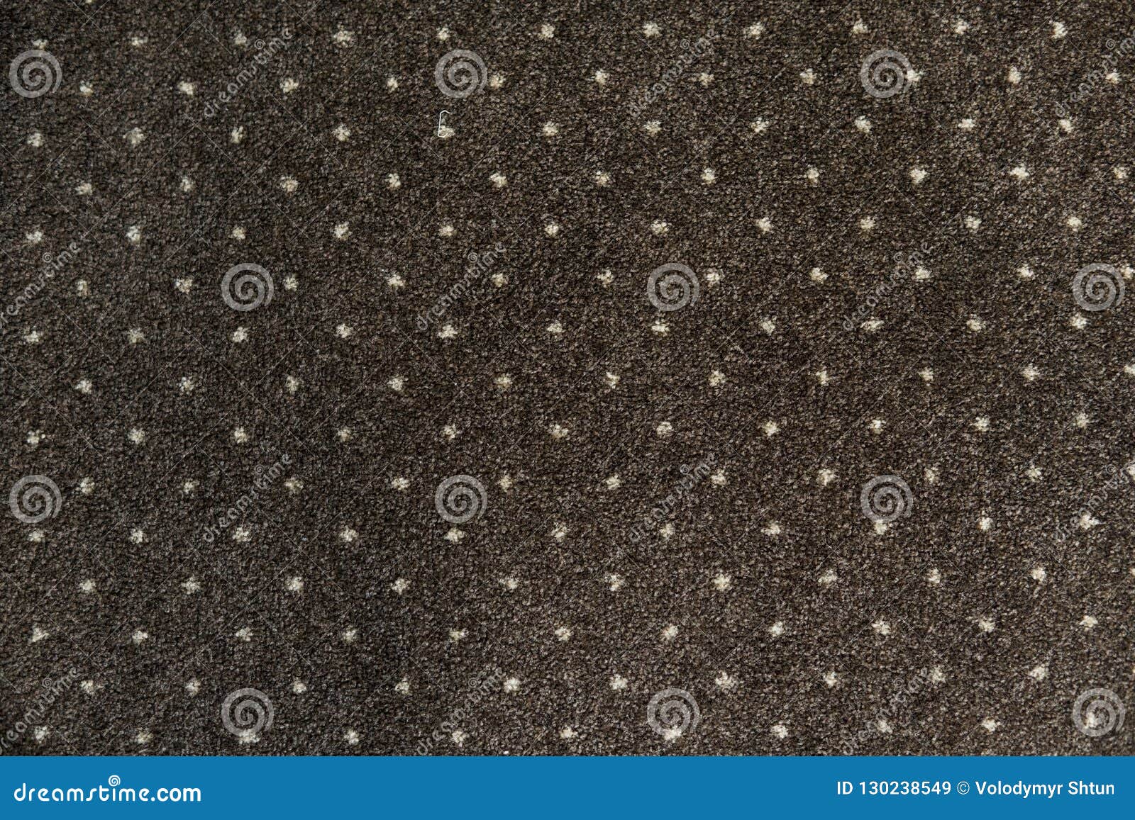 Brown Carpet with a White Dots Texture. Indoor Carpeting Shoot in ...