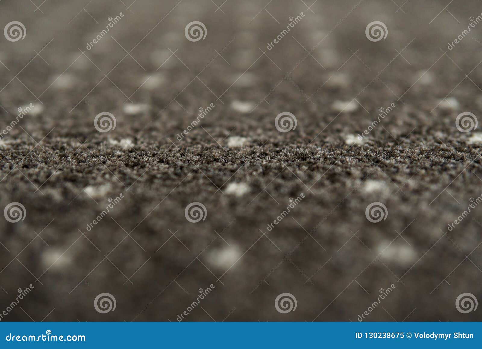 Brown Carpet with a White Dots Texture. Indoor Carpeting Shoot in ...