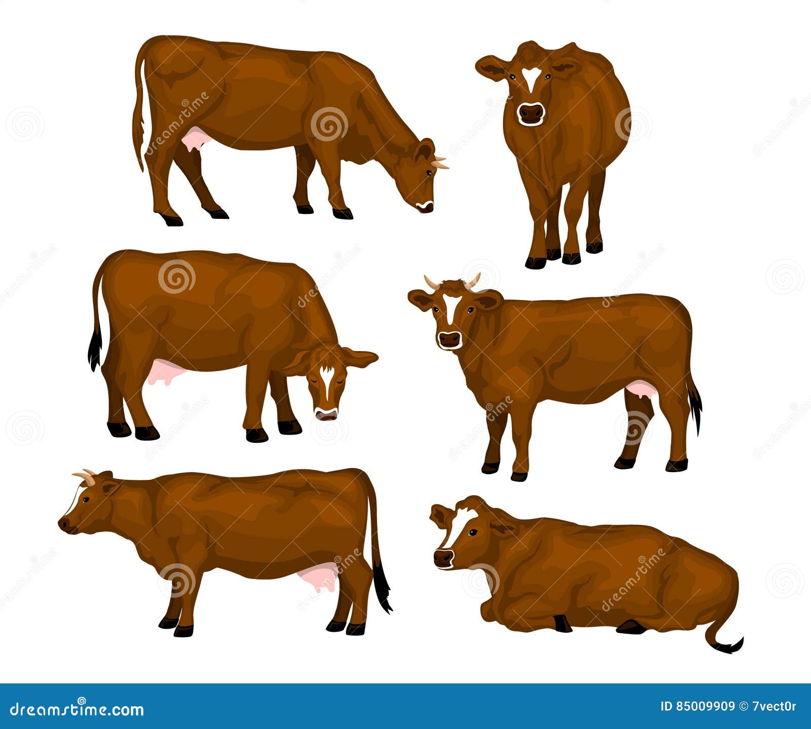 Cow Cattle Side View Set Royalty-Free Stock Photography | CartoonDealer ...