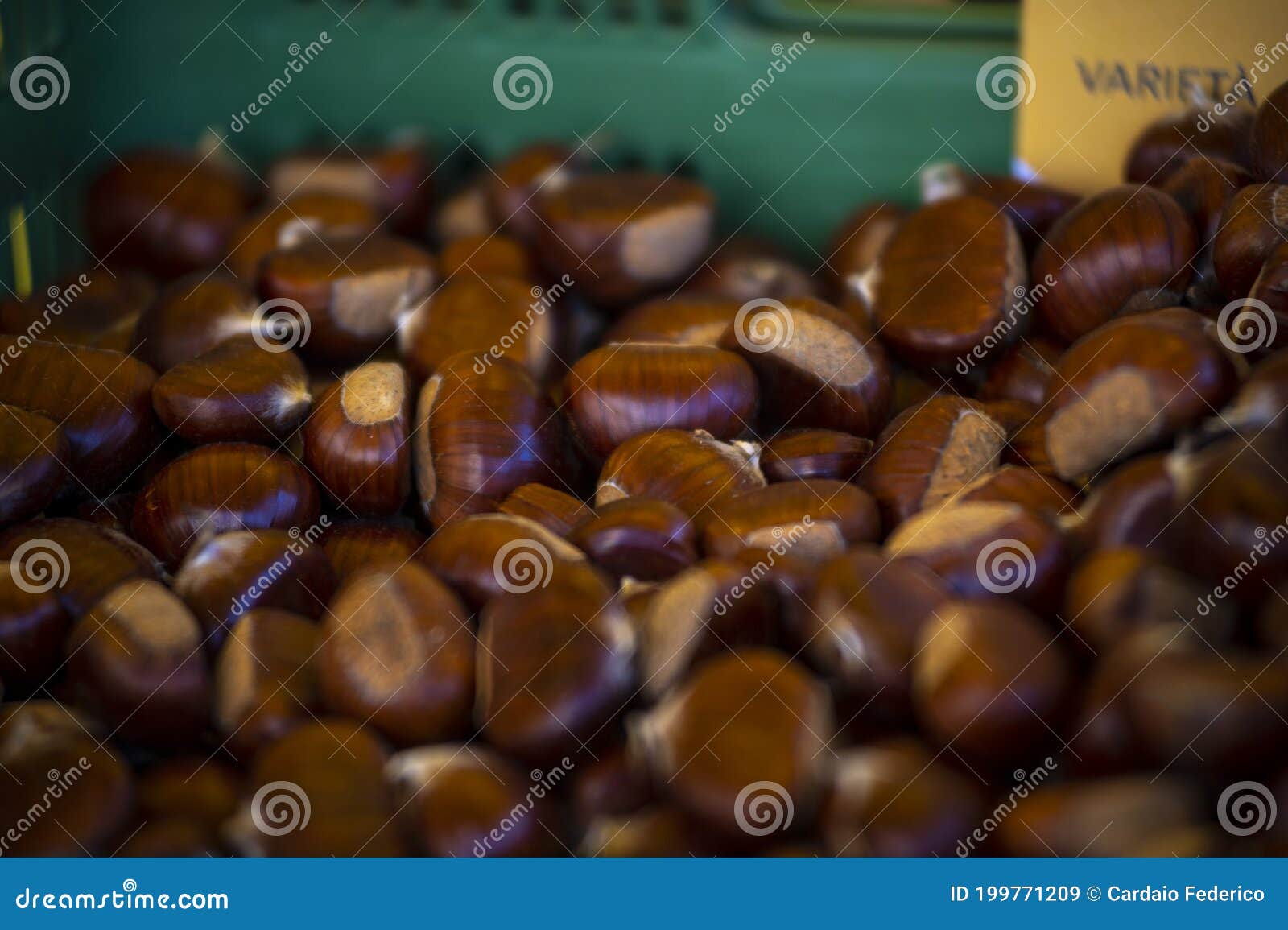Brown Chestnuts in a Box for Sale Stock Image - Image of equestrian ...