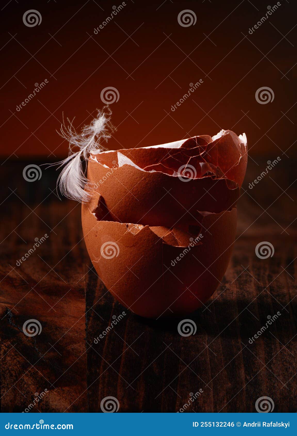 Brown Chicken Egg Shells on Dark Wooden Table Stock Photo - Image of ...