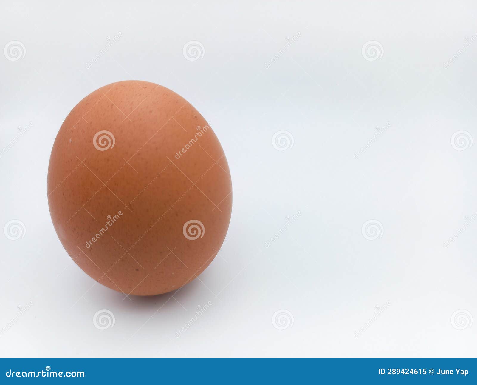 Brown Chicken Egg Standing Position Isolated on White Background with ...